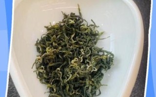 碧螺春属于什么茶_碧螺春怎么泡才正确