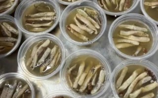 土笋冻沙虫是什么_土笋冻沙虫怎么做