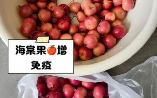 海棠树果实能吃吗_海棠果食用安全