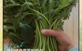 茼蒿妈是谁_茼蒿妈真实身份揭秘