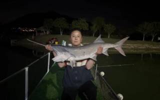 鸭嘴鱼怎么钓_鸭嘴鱼钓法技巧