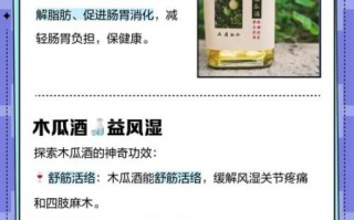 红酒木瓜靓汤的做法_红酒木瓜靓汤的功效