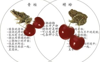 蟾蜍和青蛙的区别_蟾蜍和青蛙怎么区分