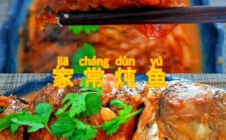 家常炖鲤鱼怎么做才入味_炖鲤鱼视频窍门全解
