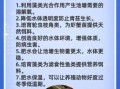 对虾怎么养不会死_对虾养殖新手常见问题