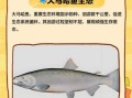 大马哈鱼为什么要回游_大马哈鱼回游路线怎么走