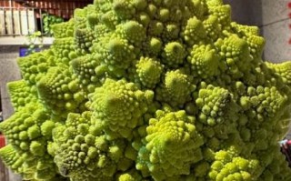 绿花椰菜怎么保存_绿花椰菜营养价值高吗