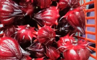 红桃k果多少钱一斤_红桃k果价格行情