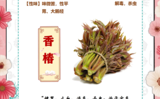 香椿的药用功效有哪些_香椿的禁忌是什么