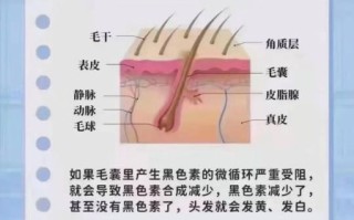 治白头发最有效的方法_白头发怎么调理变黑