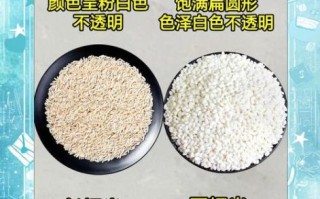 圆糯米和长糯米哪个更糯_口感差异详解