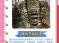 澳洲龙虾图片大全大图_高清细节如何辨别真假