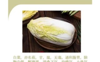 白菜的营养价值高吗_白菜有哪些营养成分