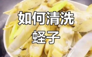 蛏子怎么洗干净_蛏子的家常做法