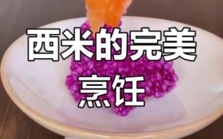 大西米怎么煮最快_大西米快速煮法