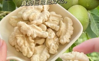 鲜核桃的营养价值_鲜核桃一天吃多少合适