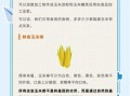 东北玉米全是转基因吗_真相揭秘