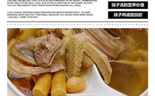 鸽子汤下奶还是回奶_哺乳期能不能喝