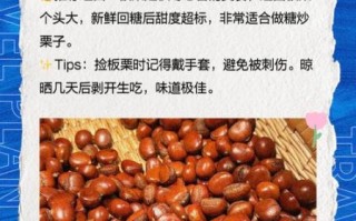 唐山特产美食有哪些_唐山有什么值得带走的伴手礼