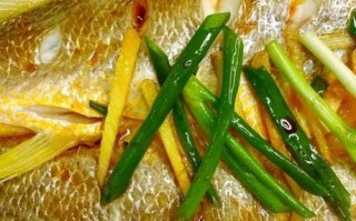 冷冻大黄鱼怎么做好吃_冷冻大黄鱼清蒸还是红烧