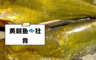 黄颡鱼的功效与禁忌_什么人不能吃