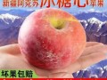 冰糖心苹果产地在哪里_正宗新疆阿克苏