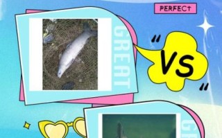 青鱼和草鱼有什么区别_如何一眼分辨青鱼草鱼