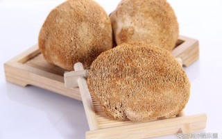 干猴头菇怎么泡发_猴头菇泡发多久