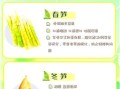 笋的种类有哪些_春笋和冬笋区别