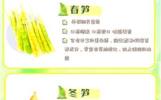 笋的种类有哪些_春笋和冬笋区别