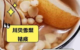 川贝炖雪梨放多少克川贝_川贝用量指南