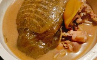 老鳖汤的做法大全_老鳖汤怎么炖最补