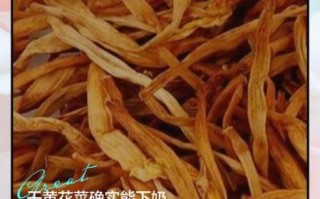 黄花菜怎么吃下奶_黄花菜下奶做法大全