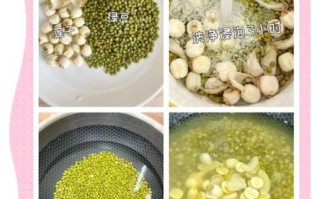 绿豆百合粥的功效与作用_绿豆百合粥适合什么人喝