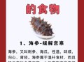 海参有什么营养成分_海参营养价值高吗