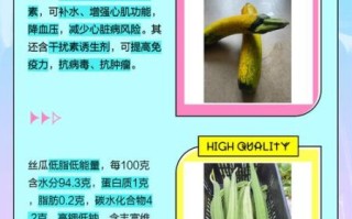 角瓜图片大全_角瓜和丝瓜的区别