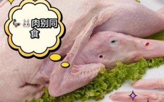 鸭肉和什么食物相克_吃鸭肉不能和什么一起吃