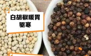 白胡椒和黑胡椒的区别_哪个更适合炖肉