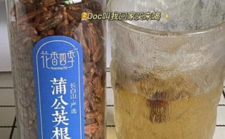 蒲公英根的功效与作用_蒲公英根怎么泡水喝