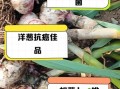 食物中毒吃什么解毒最快_食物中毒后吃什么好得快