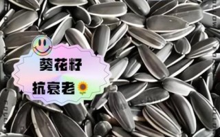 生葵花籽的功效与作用_生葵花籽的禁忌有哪些