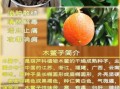 木鳖果的功效与作用怎么吃_木鳖果的正确吃法