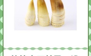 什么病不能吃竹笋_痛风患者能吃竹笋吗