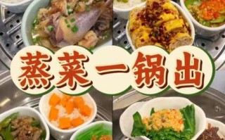 电饭锅营养蒸菜500例_适合上班族的快手蒸菜