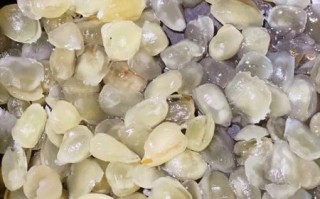 雪莲子是什么_雪莲子怎么吃最好