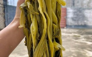 农村酸菜怎么腌制_农村酸菜的做法步骤