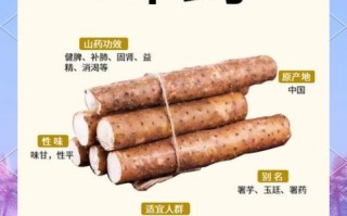 山药的营养价值_山药的功效与作用