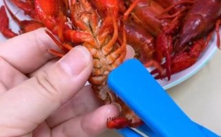 龙虾怎么吃图解_龙虾剥壳技巧