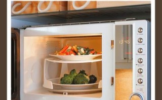 微波炉与电烤箱哪个好_家用厨房怎么选