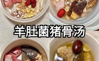 羊肚菌汤的功效与作用_羊肚菌汤适合什么人喝